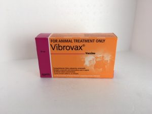 Vibrovax Vaccine [50 mL] - Country Vet